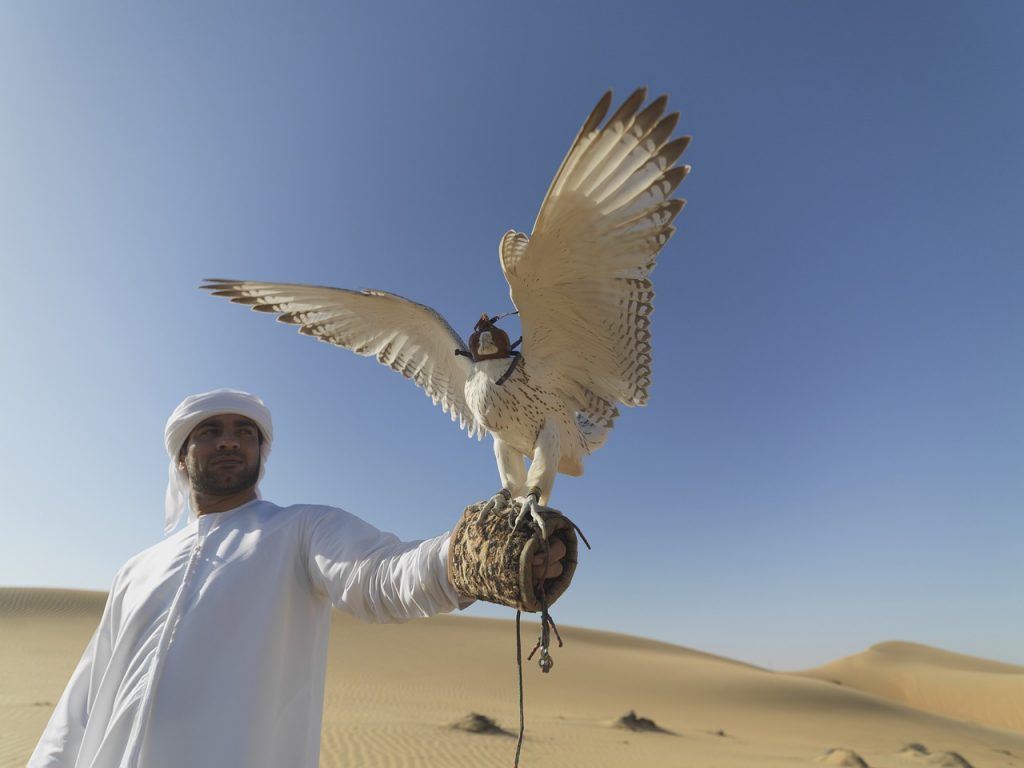 A Guide to Falcon Show in the Dubai - History And More
